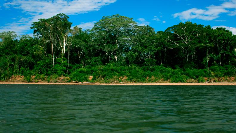 Amazonas